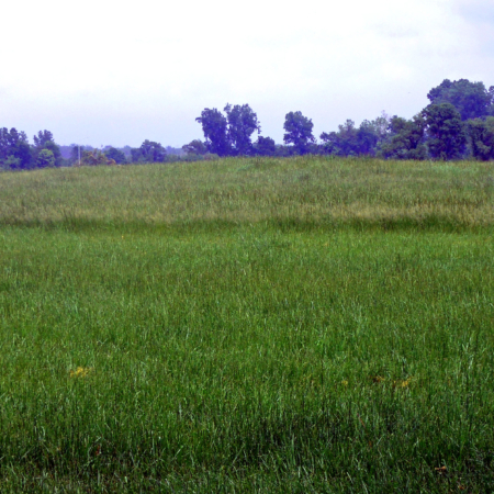 Mound 36 – Cahokia Mounds State Historic Site