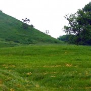 Mound 38 – Monks Mound – Cahokia Mounds State Historic Site