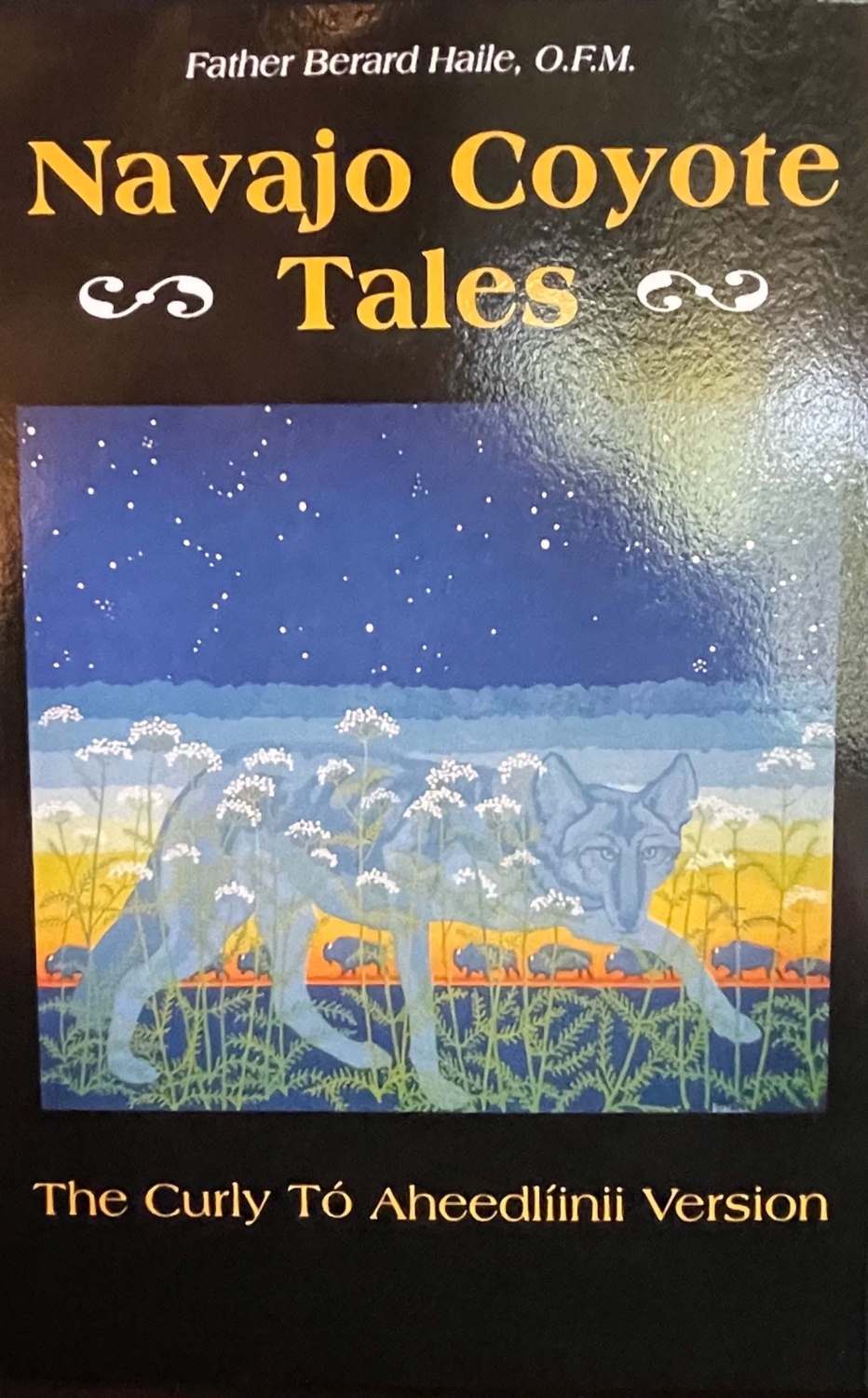 Navajo Coyote Tales: The Curly Tó Aheedlíinii Version – Cahokia Mounds ...