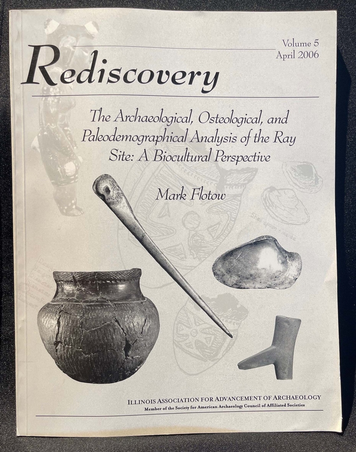 The Archaeological, Osteological, and Paleodemographical Analysis of ...