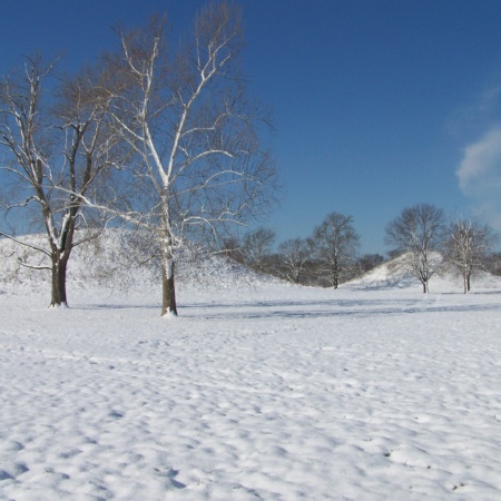 Cahokia Mounds